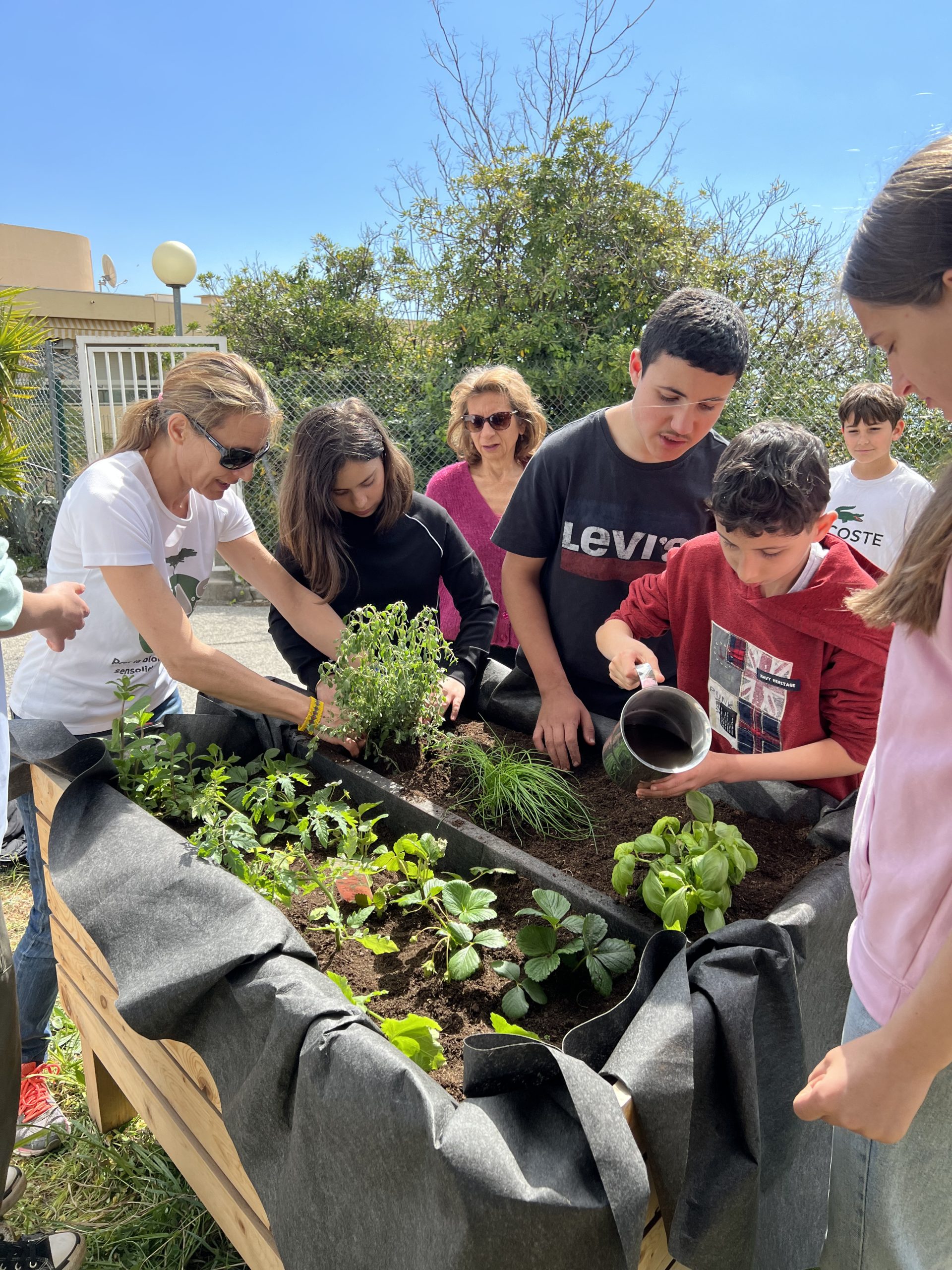 Un projet de jardin potager pédagogique enrichit les établissements ...