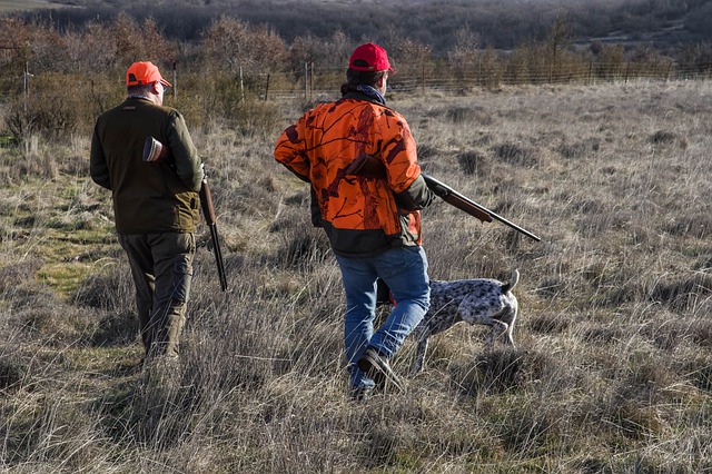 La chasse : un massacre de la nature ? – Collégiens Lycéens Ensemble
